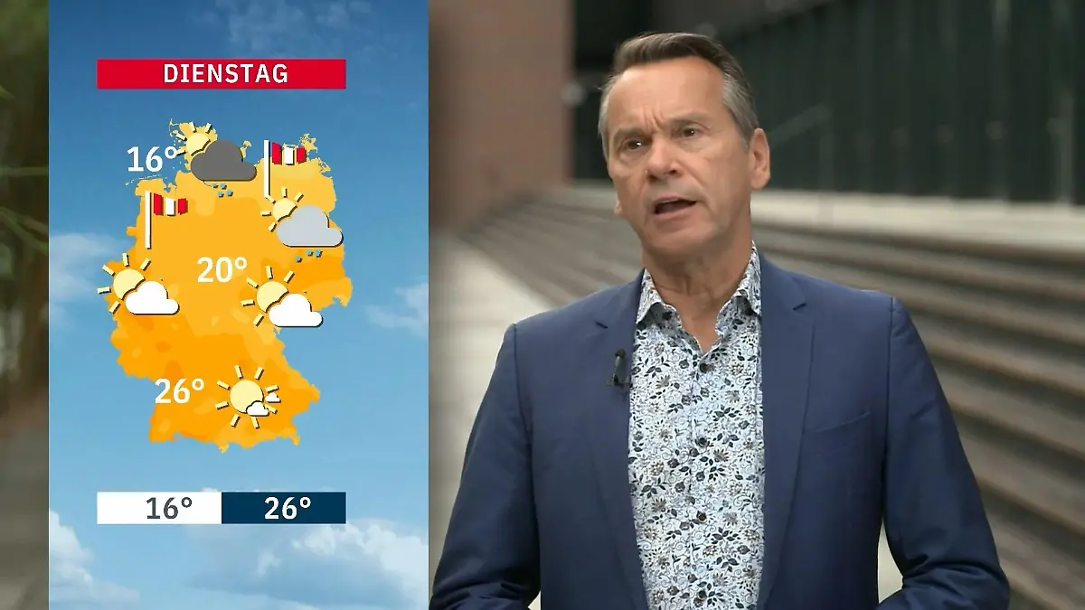 Nach Chaos-Fahrt auf A1: Kann ein fahrender Lkw überhaupt aufgehalten ...
