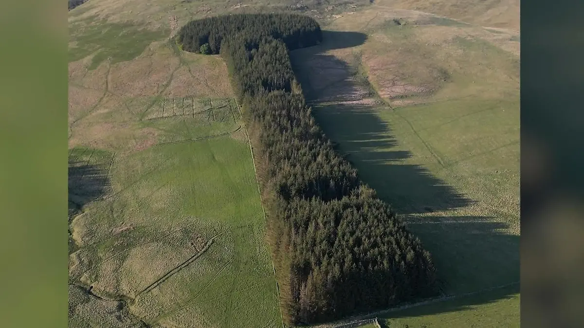 US-Präsident Donald Trump präsentiert sich als Papst – mit DIESEM ...