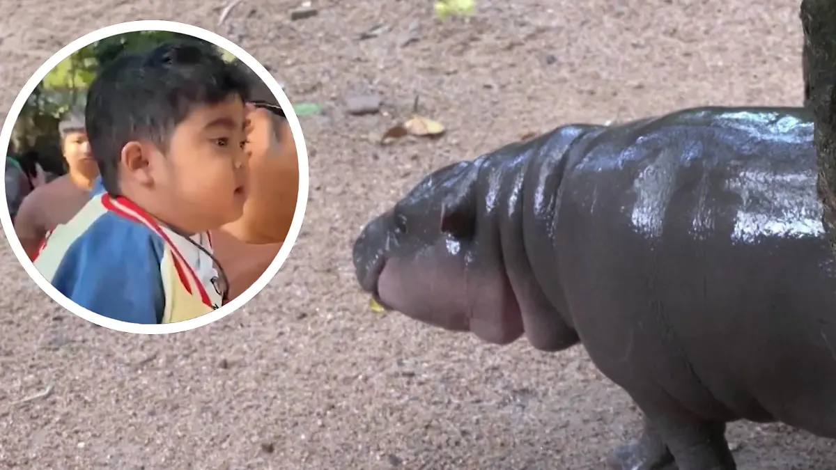 Auf der A2: Nach mehr als 100 Kilometern Verfolgungsjagd mit der Polizei – Autofahrer kracht in ...