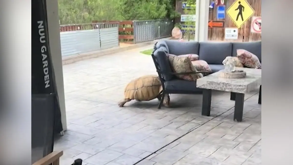 Hauzenberg: Pfarrer Alexander Aulinger abgesetzt – wegen Partys mit ...