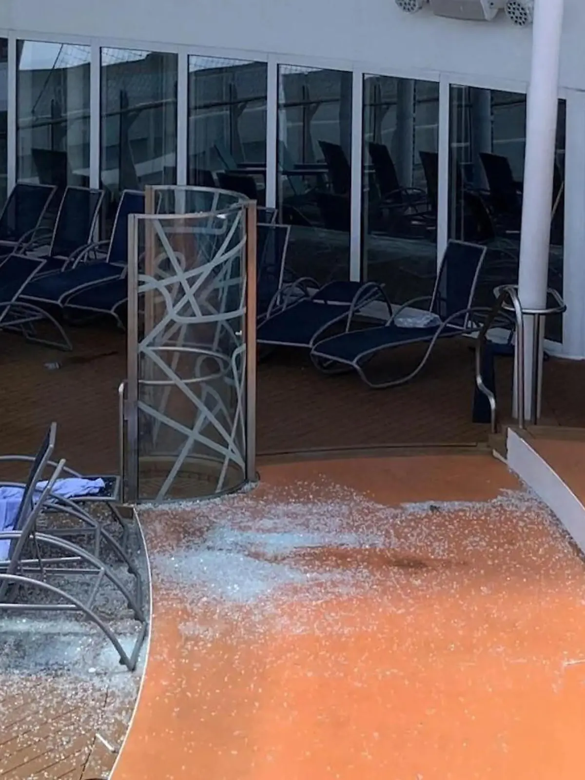 Alle Augen auf diesen Vogel!: Neuer Papst! Dieses Möwenküken weiß es ...