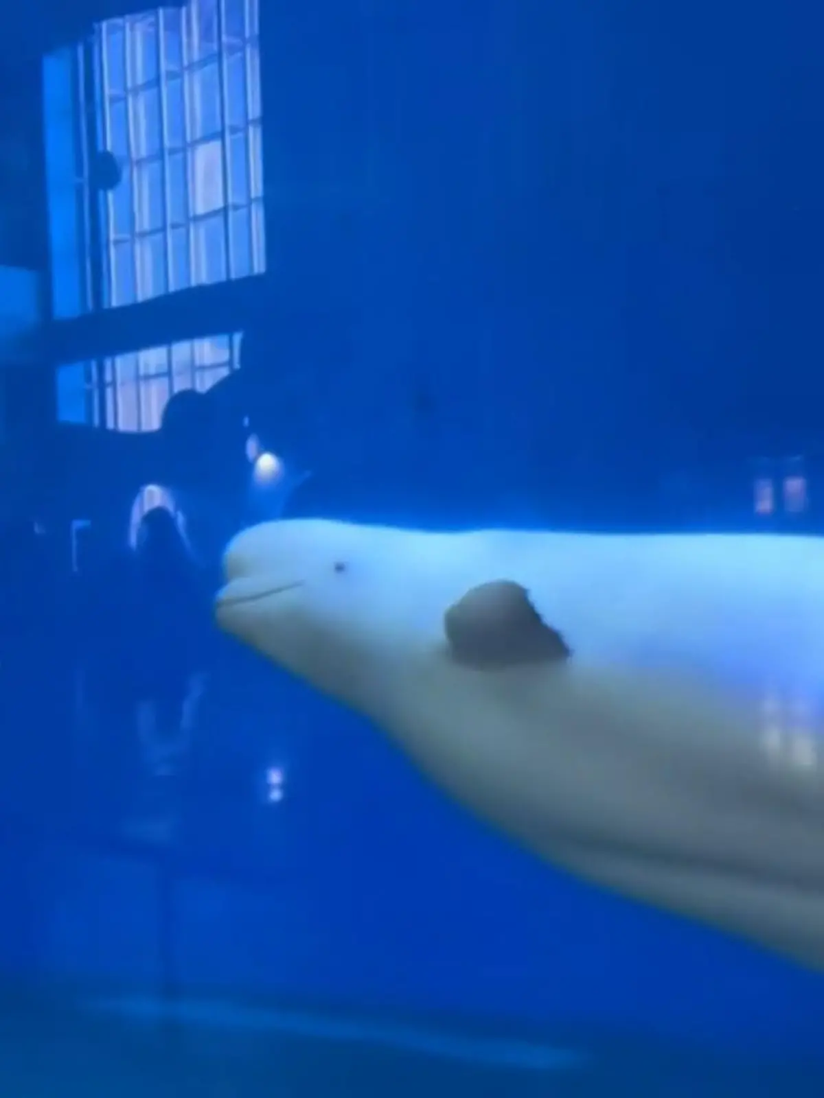 265 Menschen an Bord: Notlandung! Flugzeug-Triebwerk fängt Feuer