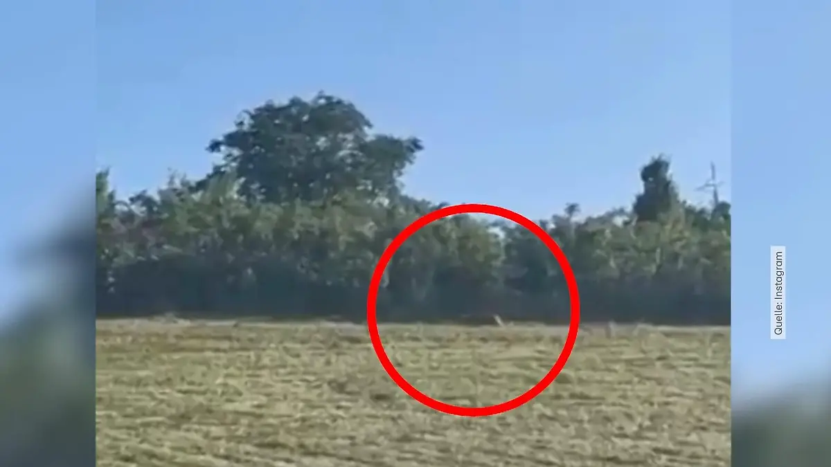 Frau totgefahren – Ehemaliger Radstar Rohan Dennis muss nicht ins Gefängnis