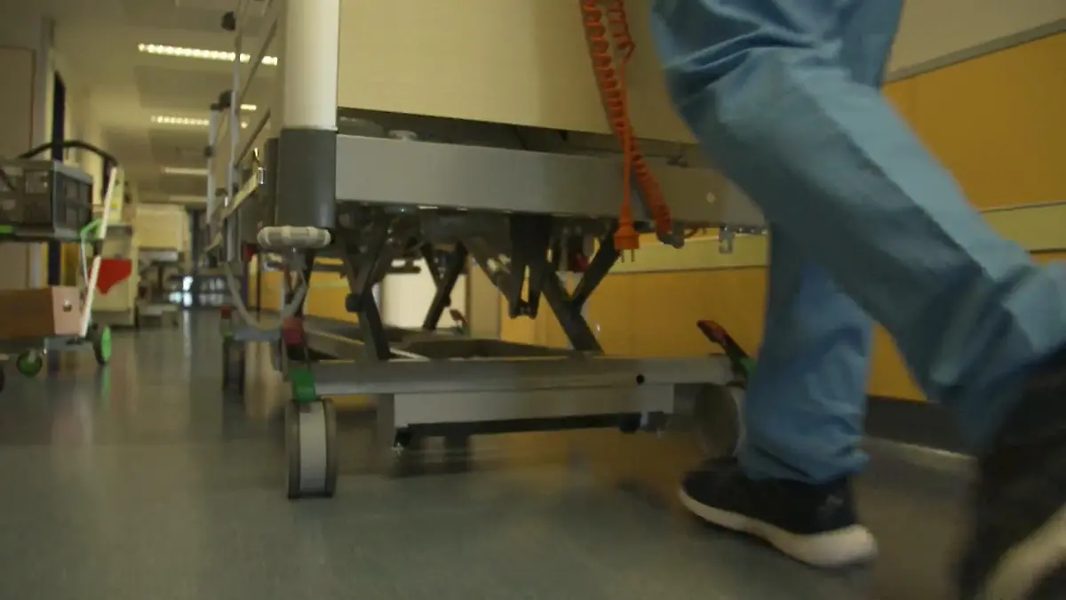 Die Gefahr lauert im Garten! Was das Borna-Virus ist und wie ihr euch schützen könnt