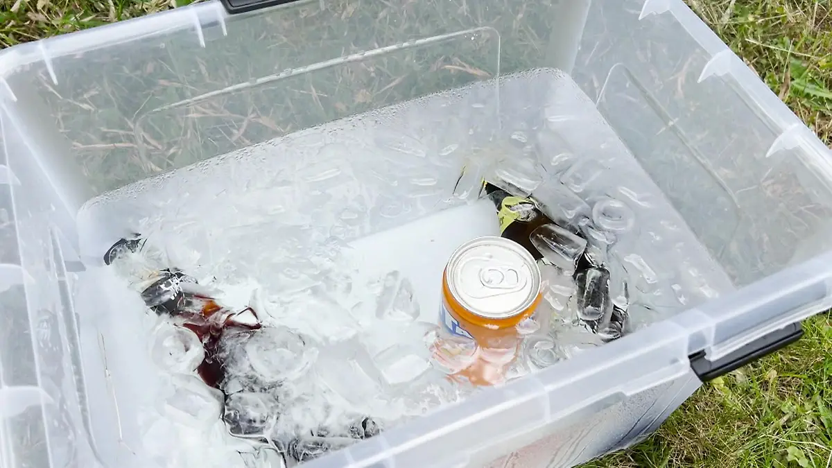 Panda-Syndrom: Kann „kein Sex” krank machen? Sexualtherapeut klärt auf