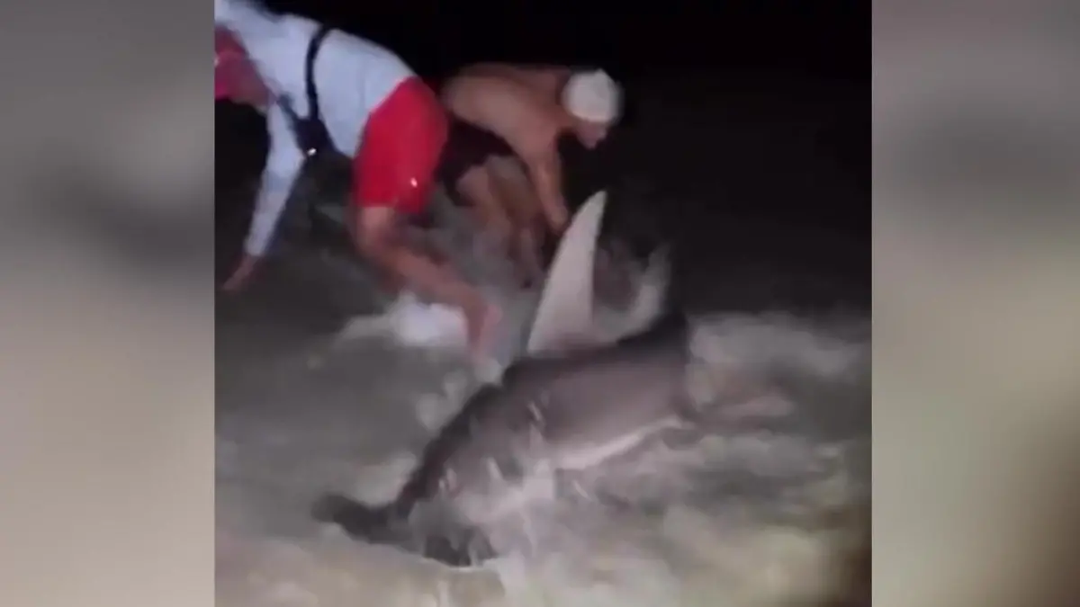 Fall Maddie McCann: Können DIESE neuen Beweise Christian B. endlich ...