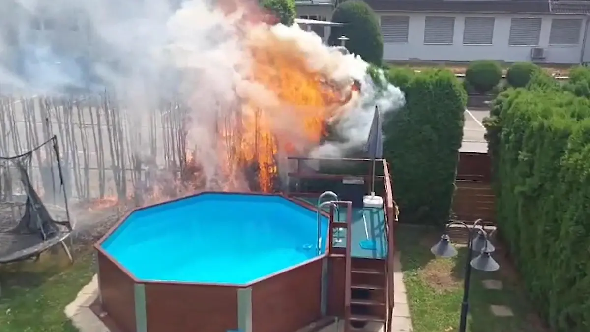 Kleinkind von Klapperschlange gebissen – Cara Reed bekommt 30 Ampullen ...