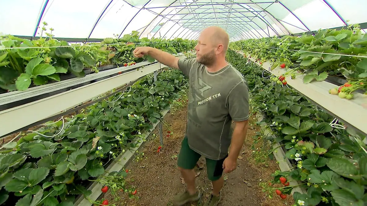 Das solltet ihr über Organspende wissen!