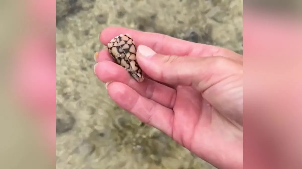 Model Phia Quantius: Wegen Migräne bin ich nur maximal vier Tage im ...