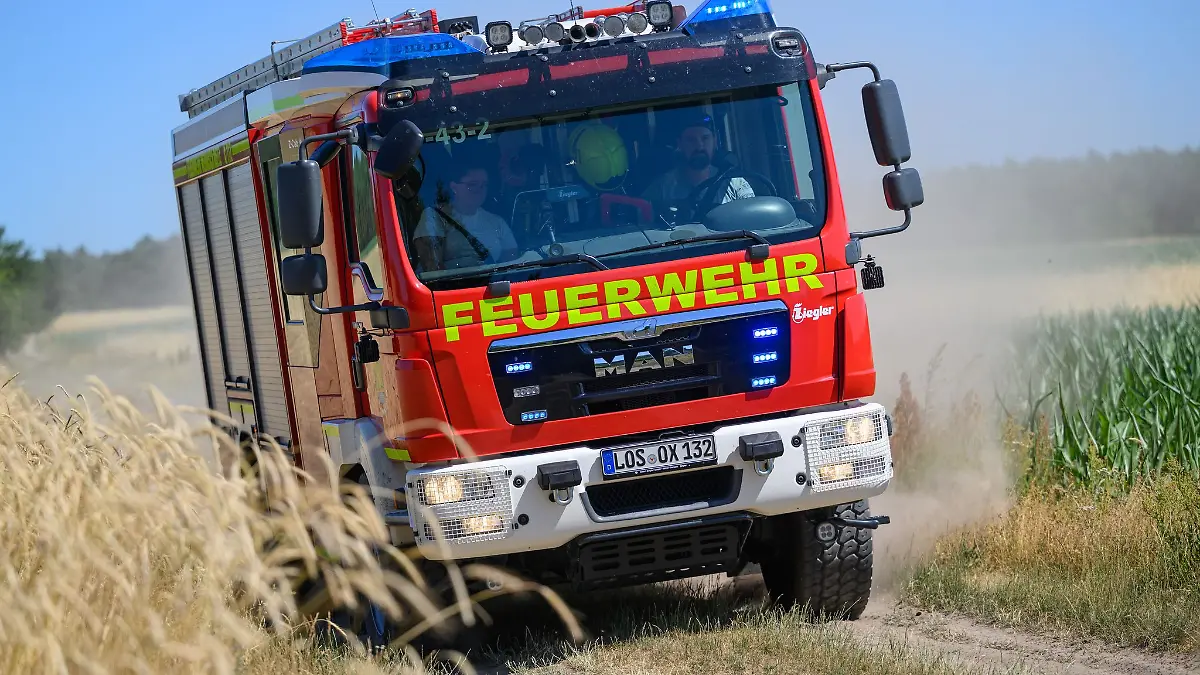 Waldbrand in Brandenburg: Dorf Kleinbahren evakuiert