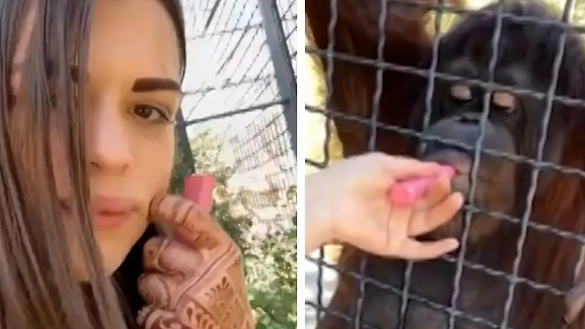 1. FC Magdeburg: Jugendtrainer soll Spieler heimlich unter der Dusche gefilmt haben