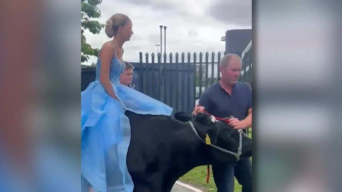 Die Gefahr lauert im Garten! Was das Borna-Virus ist und wie ihr euch schützen könnt