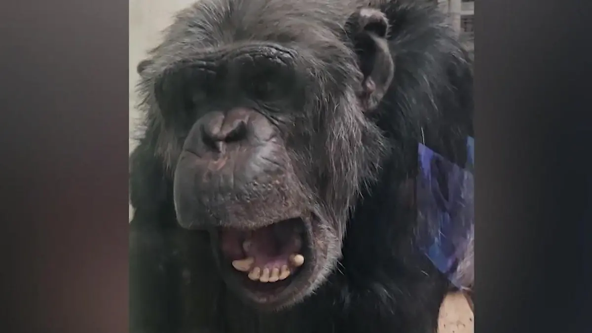 Die Gefahr lauert im Garten! Was das Borna-Virus ist und wie ihr euch schützen könnt