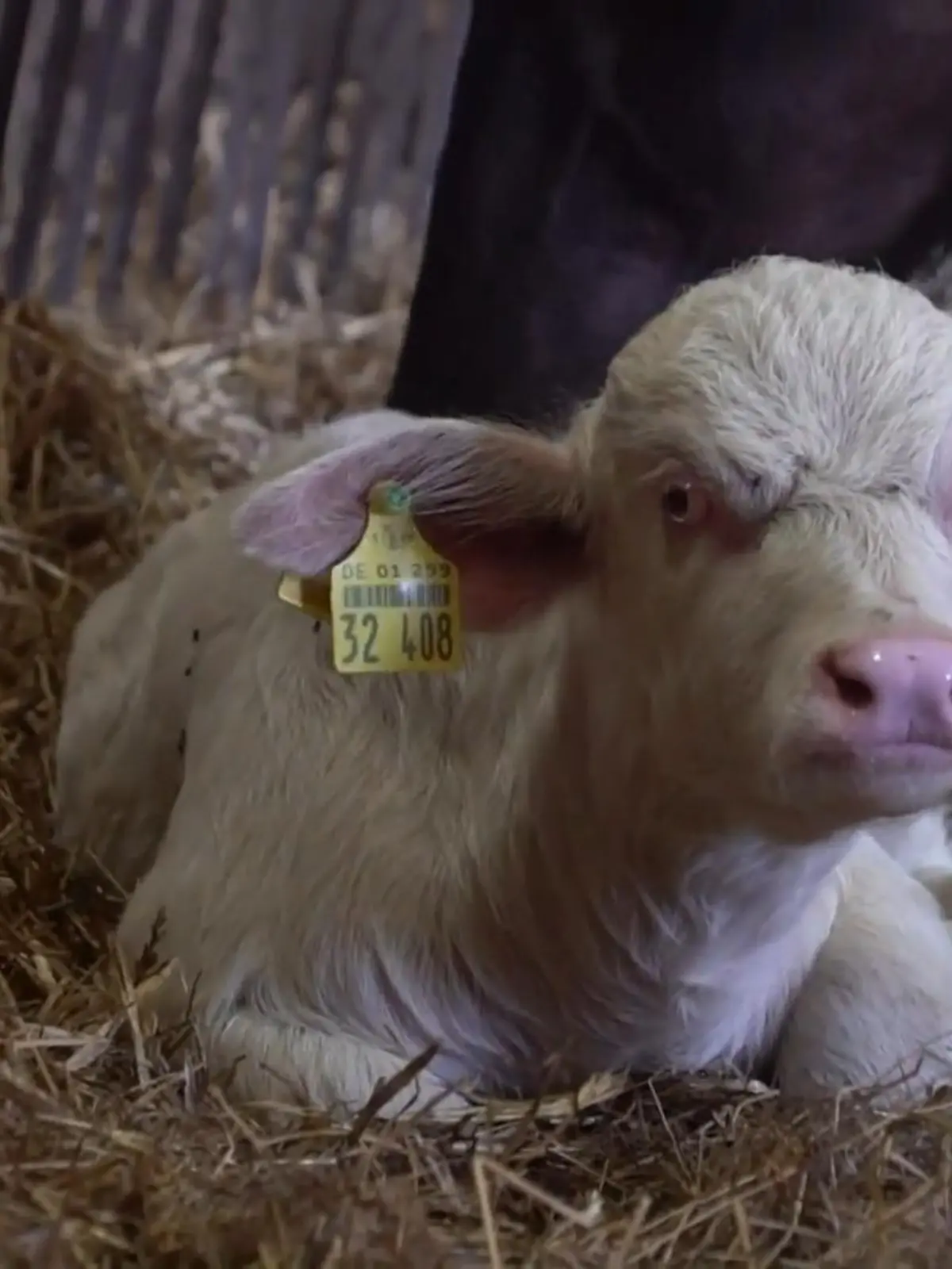 Bundeswehr gibt seltene Einblicke: Probe der Luftwaffe auf dem ...