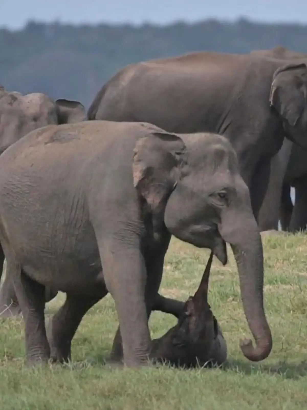 1989 ist sie spurlos verschwunden: RTL findet neue Spuren zum Cold Case Katrin Jarosch