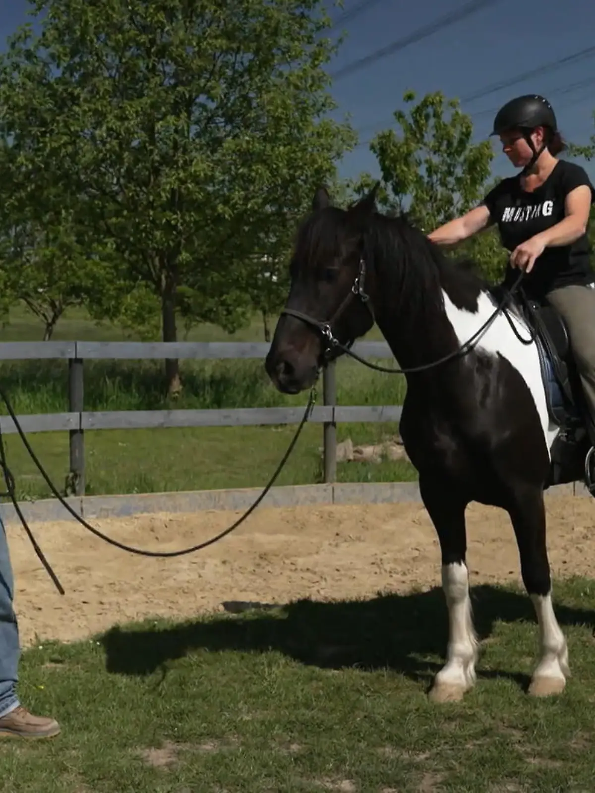 Fellow macht sich: Anne und Juna haben endlich wieder Vertrauen in Fellow