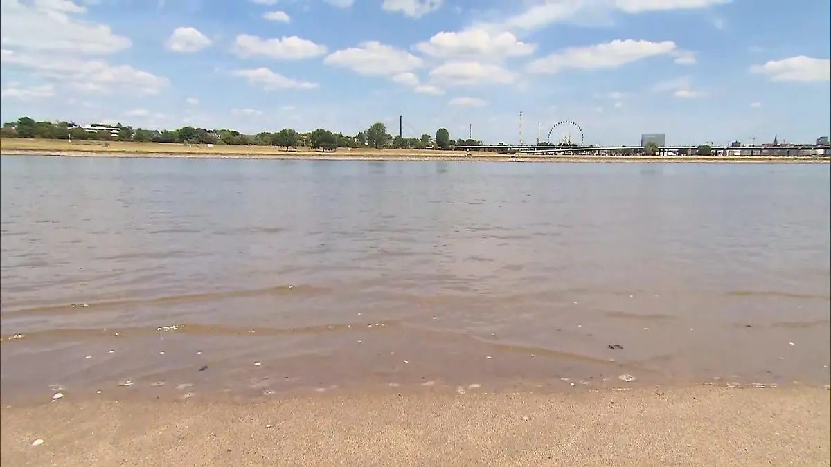 Das WUMILA eröffnet endlich