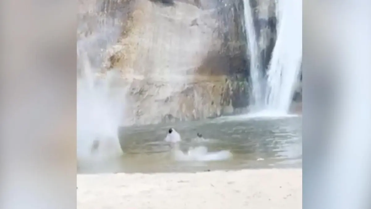 Aus Wels im Brombachsee werden jetzt Fischfrikadellen gemacht! Musste er wirklich erschossen werden?