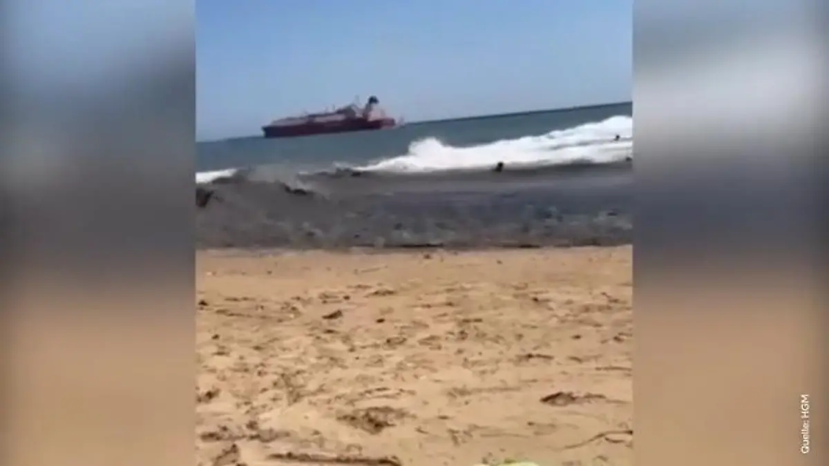 Aus Wels im Brombachsee werden jetzt Fischfrikadellen gemacht! Musste er wirklich erschossen werden?