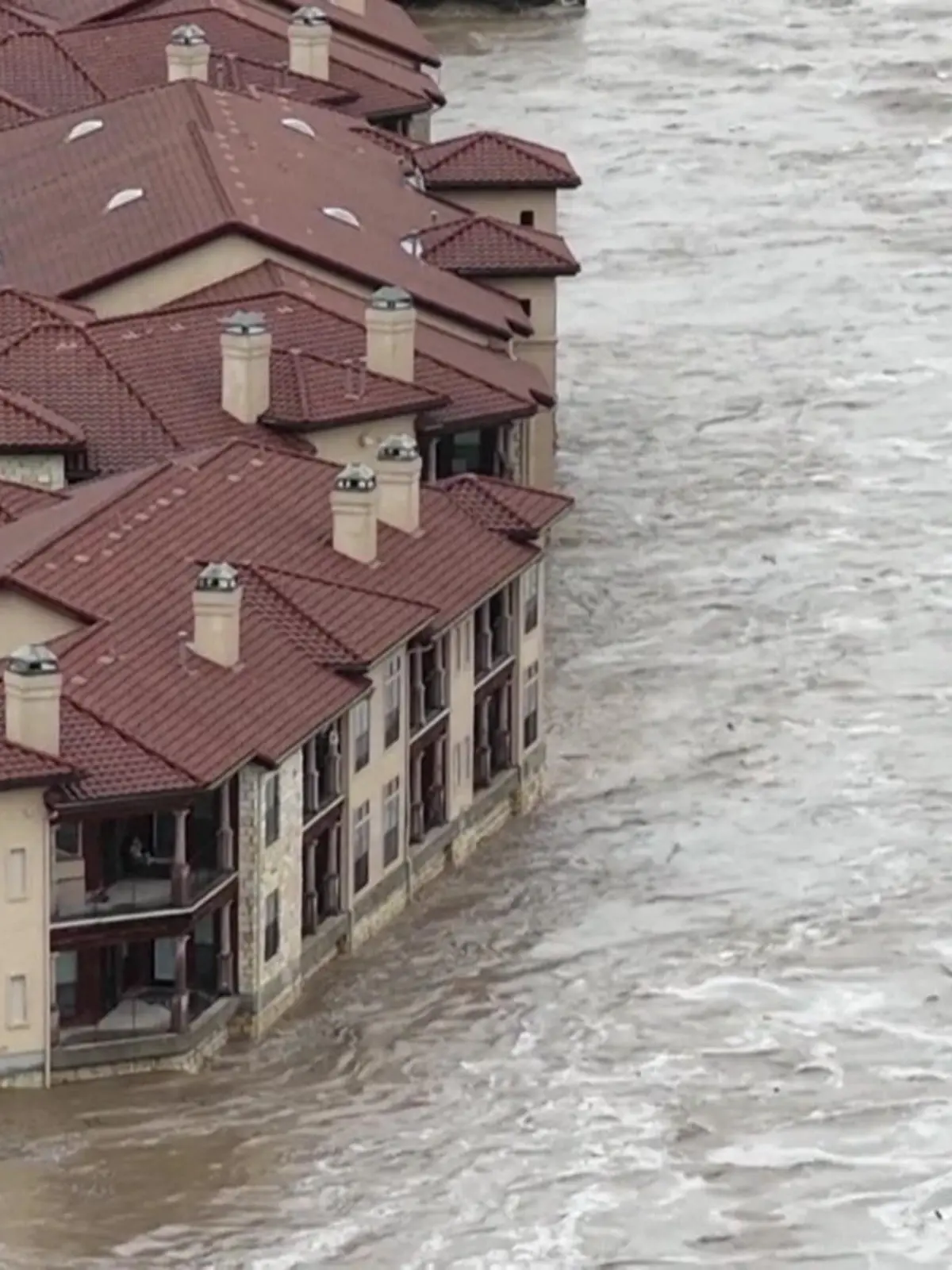 Klimaaktivisten müssen in Knast: Tomatensuppen-Attacke auf Van Gogh ...