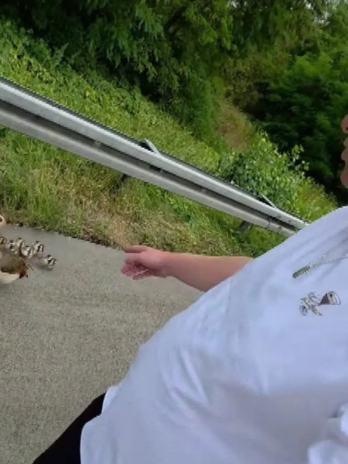 Jens "Knossi" Knossalla: Alle News & Infos