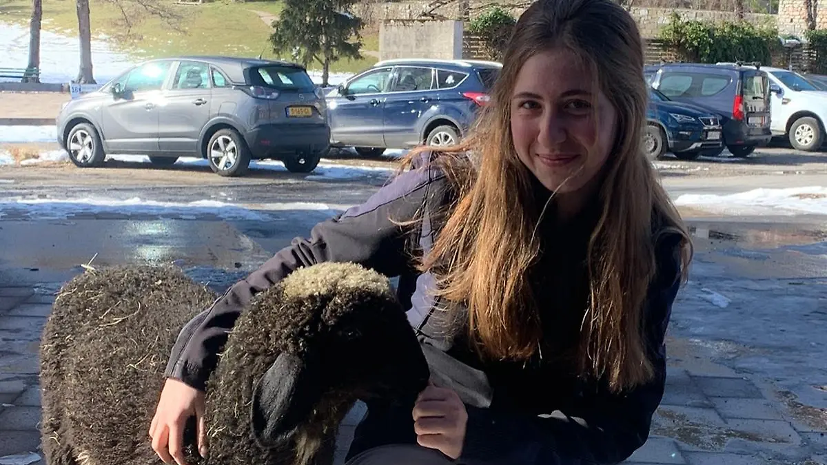 Mittenwald: 14-Jährige zieht verstoßenes Lämmchen auf