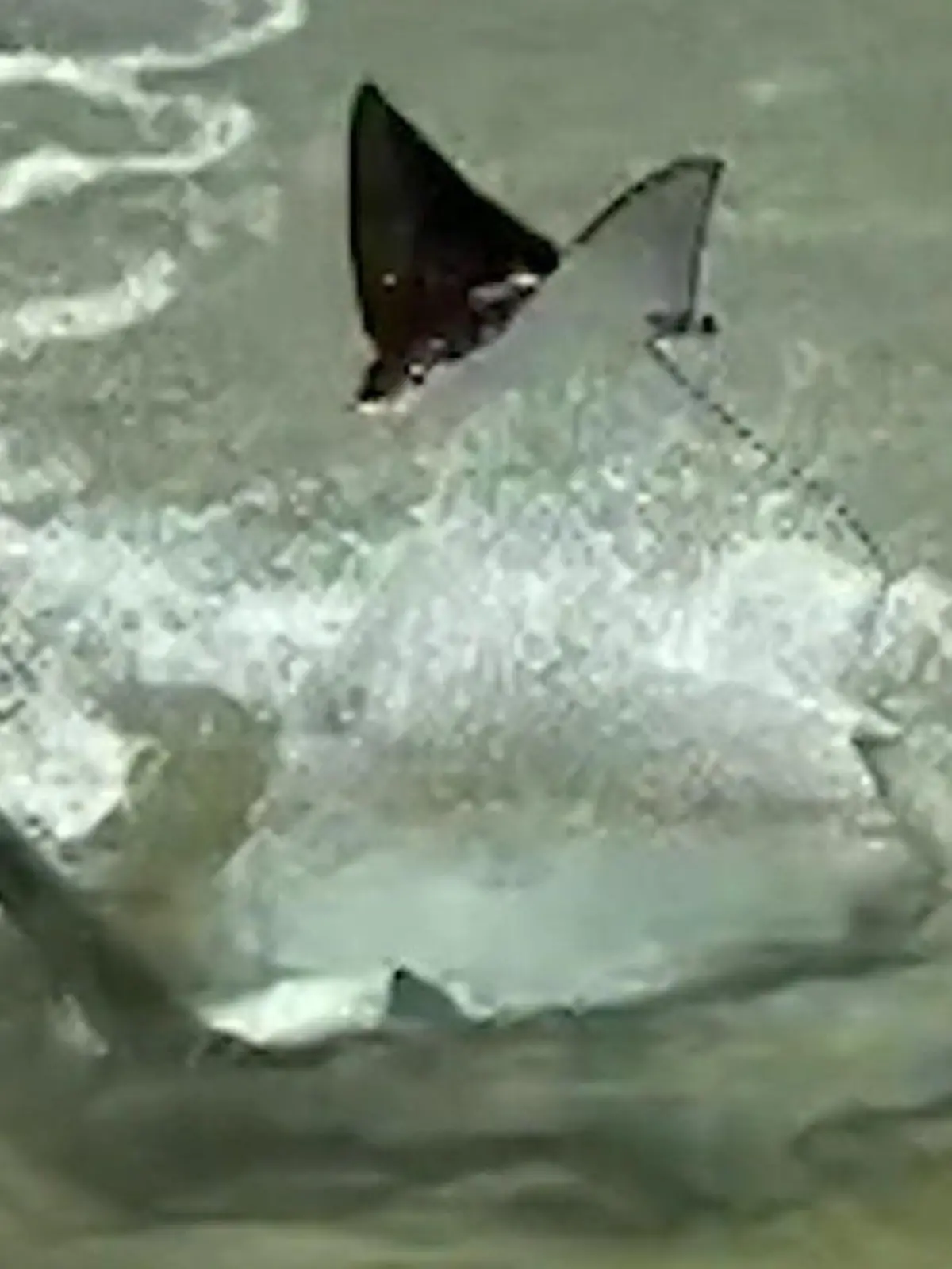 RTL Aktuell - Videos