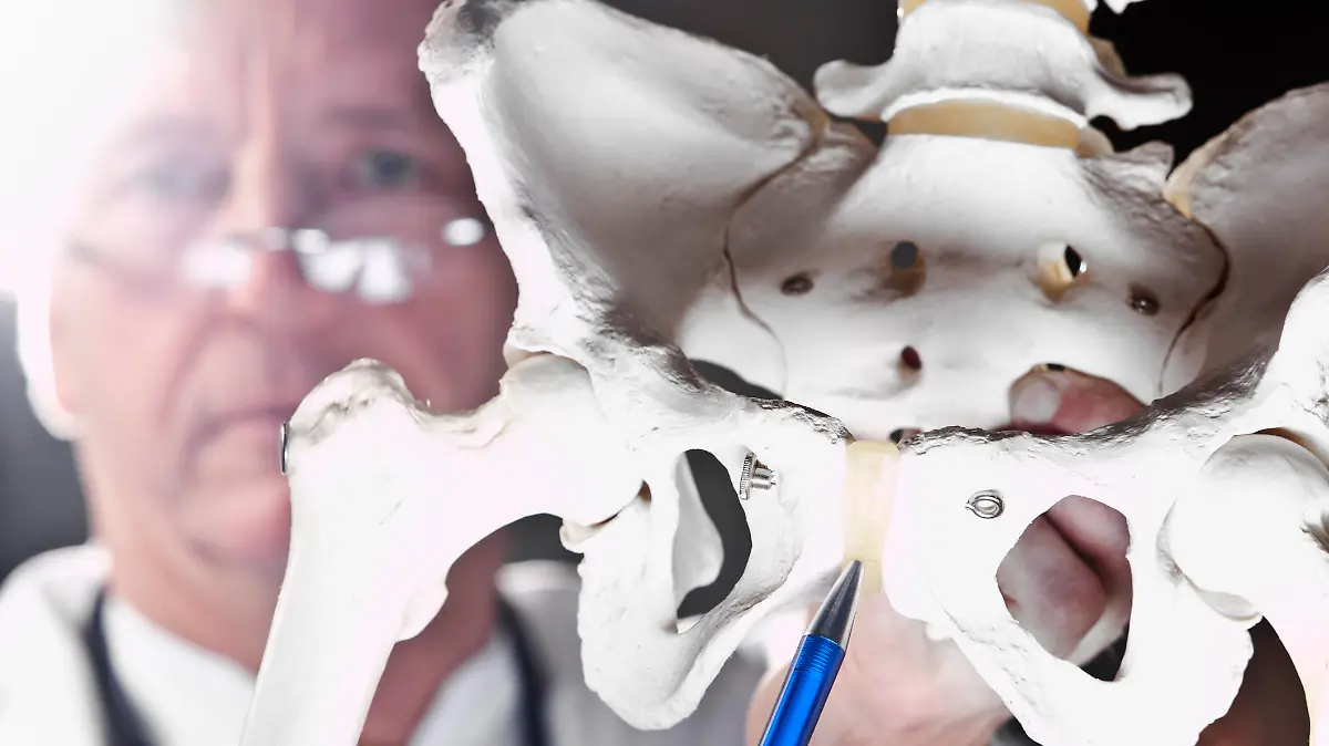 Gesundheitslexikon: Symphyse