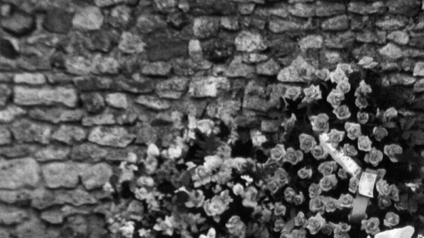 Auf dem Friedhof von Boissy-sans-Avoir: Unbekannte öffnen Romy ...