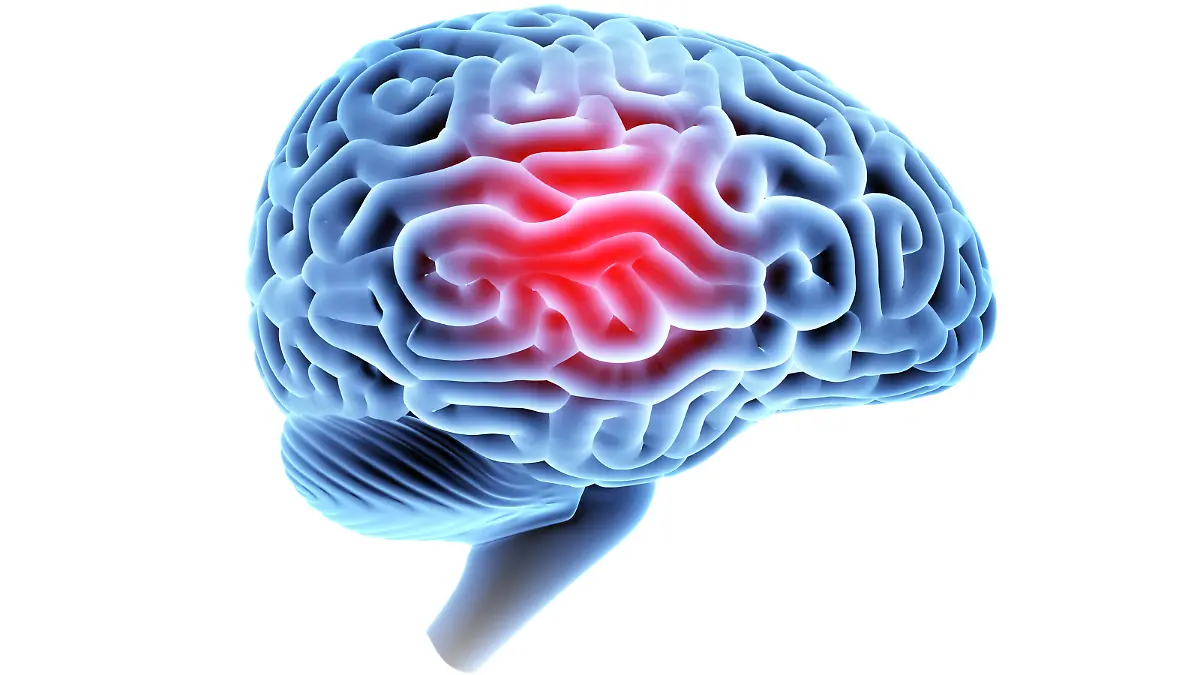 Gesundheitslexikon: Subdurale Blutung