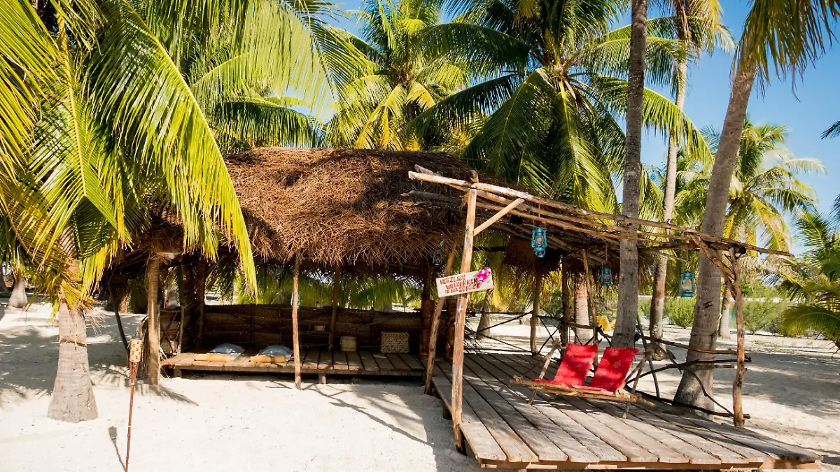 Adam sucht Eva - Promis im Paradies: Sieben Single-Promis mischen sich ...