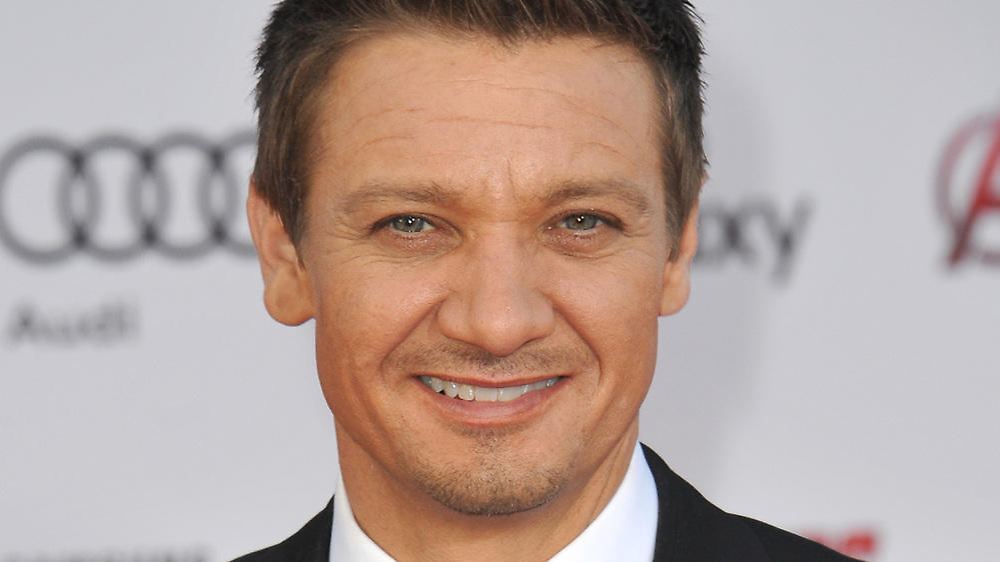 'Arctic Justice: Thunder Squad': Jeremy Renner, Heidi Klum & Co ...