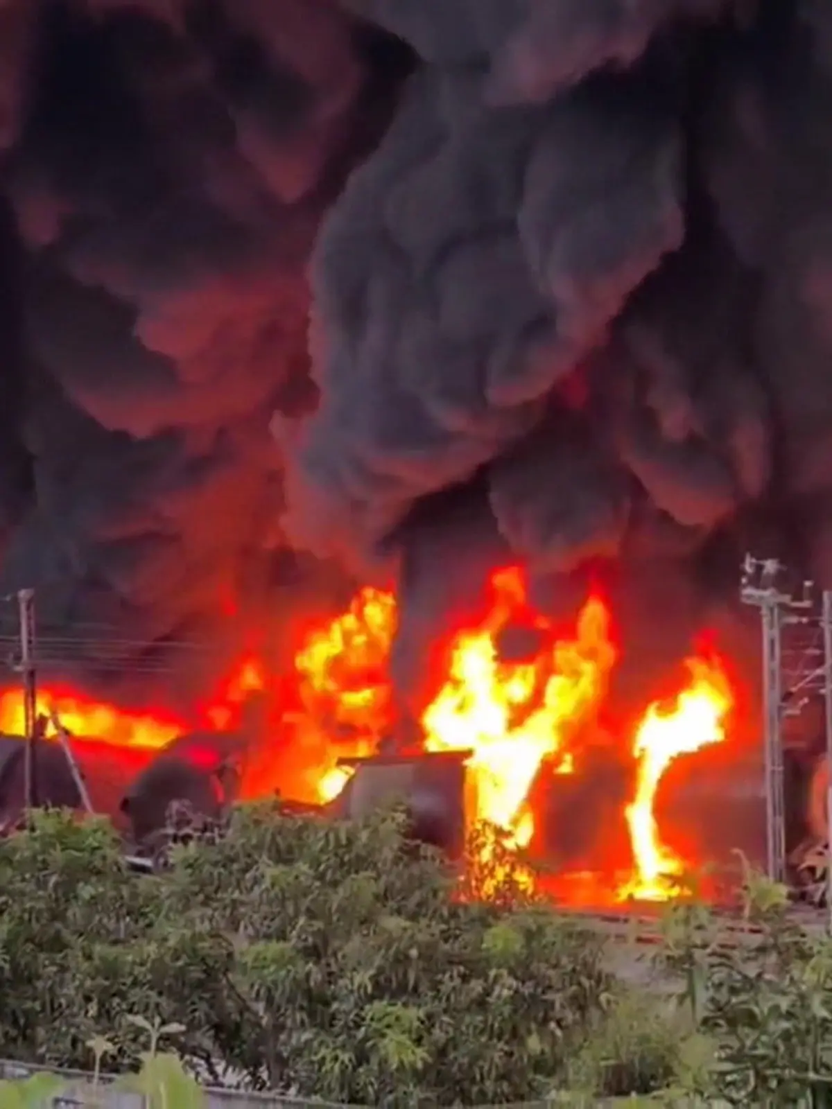 Kamerateam muss fliehen!: Ausnahmezustand in Los Angeles! Reporterin ...