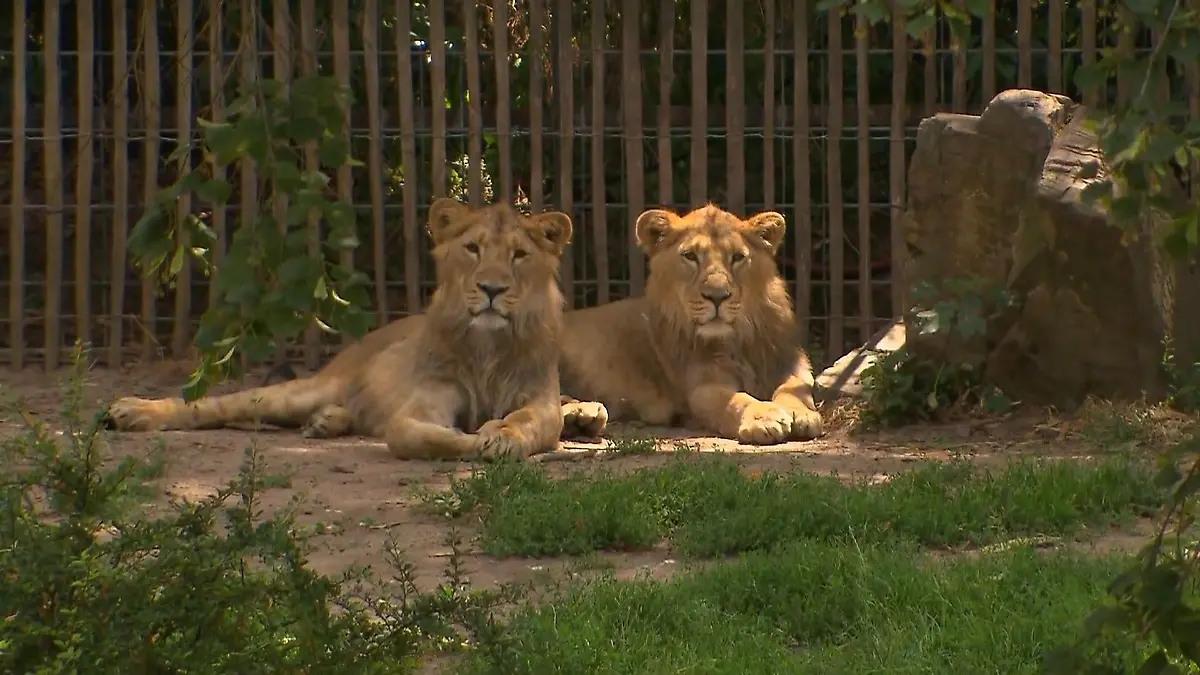 Aldi überrascht mit neuem Angebot: Blind Booking mit Eurowings zum ...