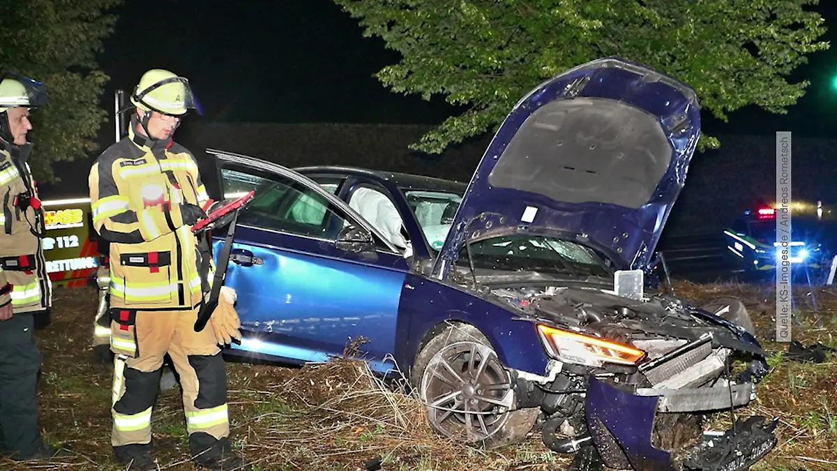 Aggro-Wels attackiert Schwimmer im Brombachsee: Polizist erschießt den Fisch