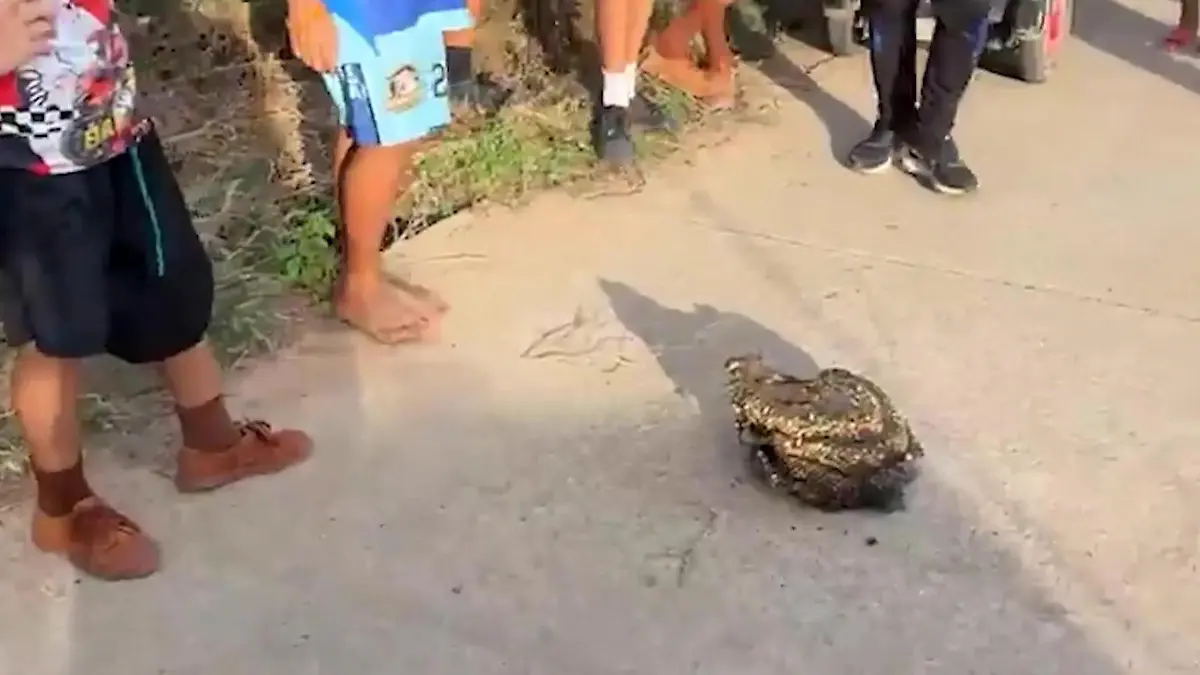 Alzenau (Bayern): Horst K. tötet Ex-Ehefrau und Schwägerin – nur einen ...