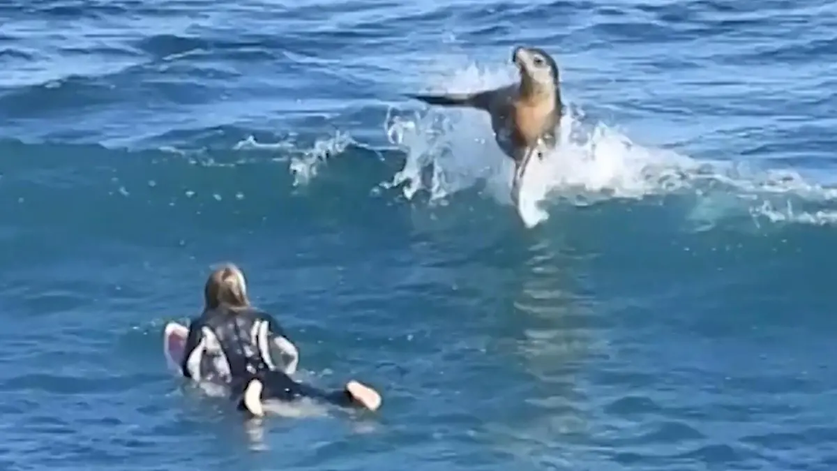 Totgeburt: Was passiert bei einer „stillen Geburt”? Der Ablauf erklärt