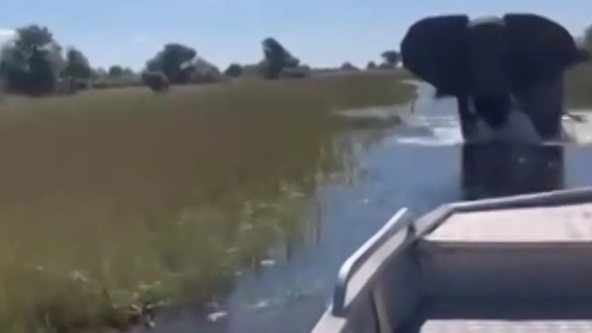 Netphen: Vater soll Kleinkind aus dem Fenster geworfen haben