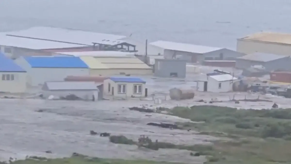 Wieder Wels-Attacke am Großen Brombachsee! Schwimmer durch Biss in Arm verletzt