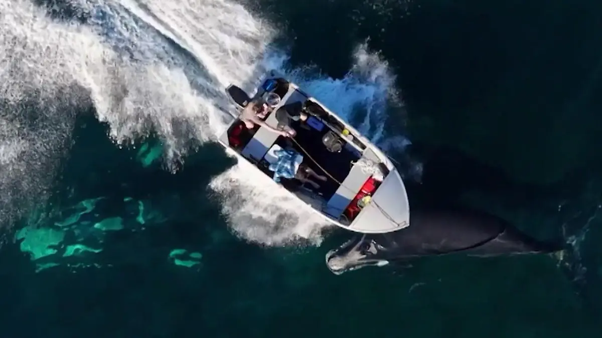 Freudenberg: Mord an Luise vor Gericht – wie läuft ein Zivilprozess ab?