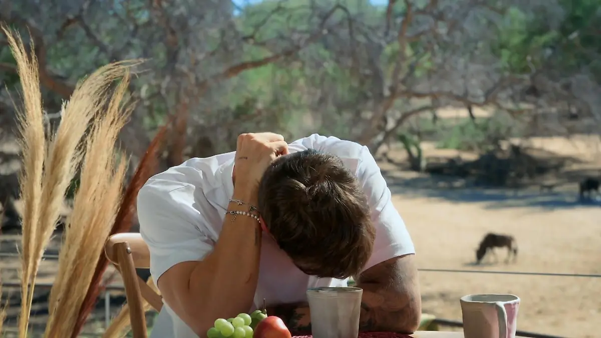 Bachelors 2025: Dreamdate-Abbruch in Folge 9! Auf einmal sitzt Bachelor ...