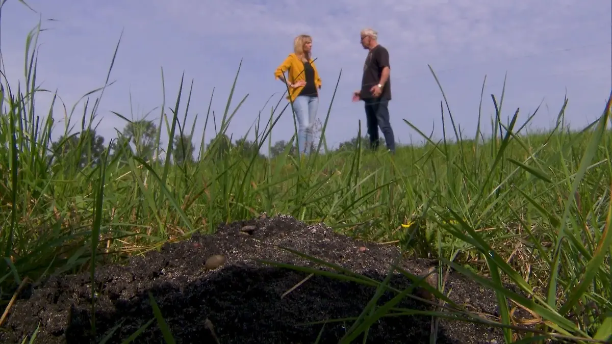 Baby Victoria tot Lidltüte gefunden: Adelstochter und Sexualstraftäter ...