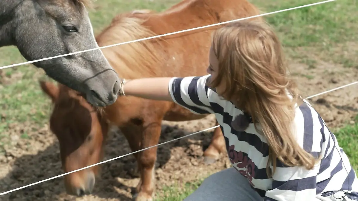 „Beste Option für uns“: Mutter spendet Pony ihrer Tochter an Zoo – als Futter für die Raubtiere!