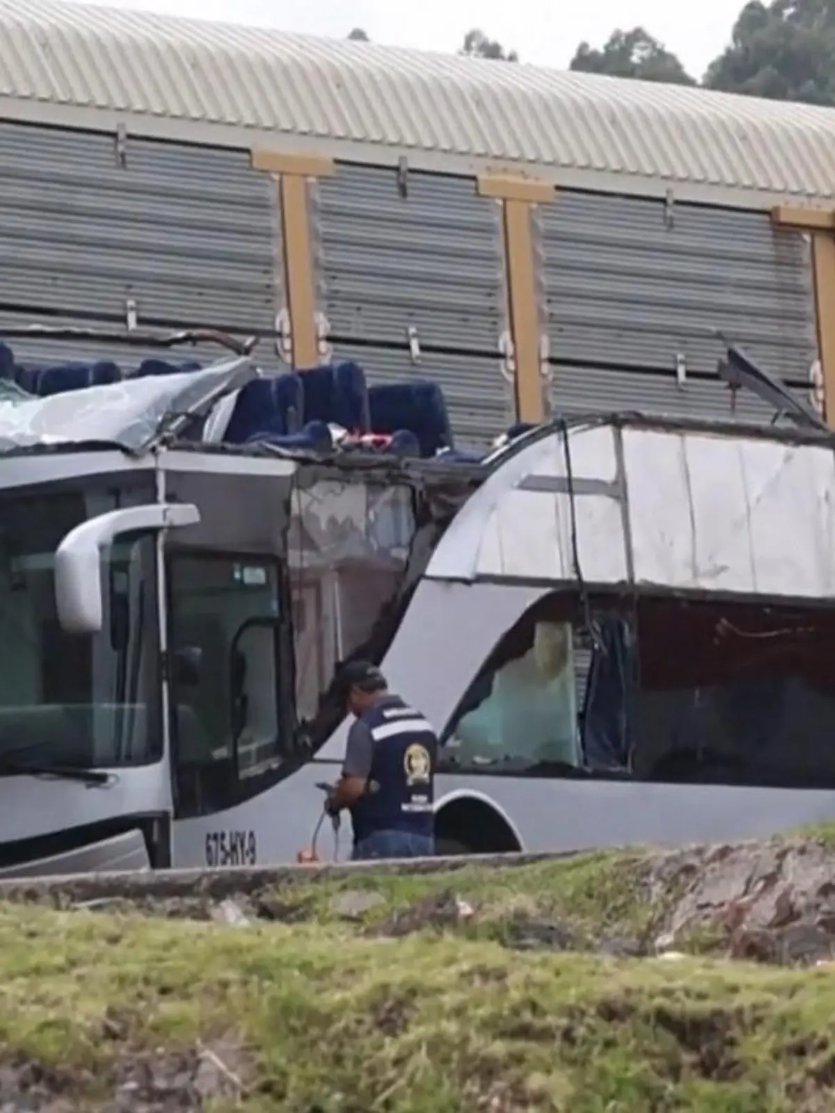 Fotograf macht Bild seines Lebens: Nur wenige Artgenossen! Dieser Orca ...