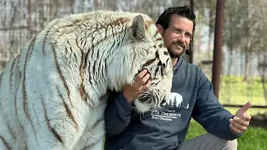 Tödliche Tigerattacke: Bekannter Tiertrainer Ryan Easley stirbt bei ...