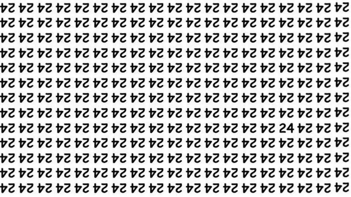Zahlen-Suchbild: Wer findet schnell die 24, die nicht auf dem Kopf steht?