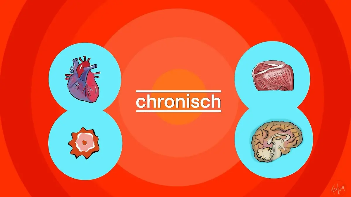 Chronische Erkrankungen: Doc Fleck: Ernährung ist oft der Schlüsselpunkt