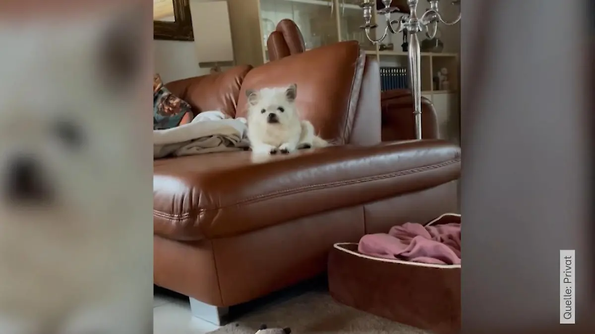 Hoffnung für Alzheimer-Patienten! Neues Lilly-Medikament wirkt wohl ...