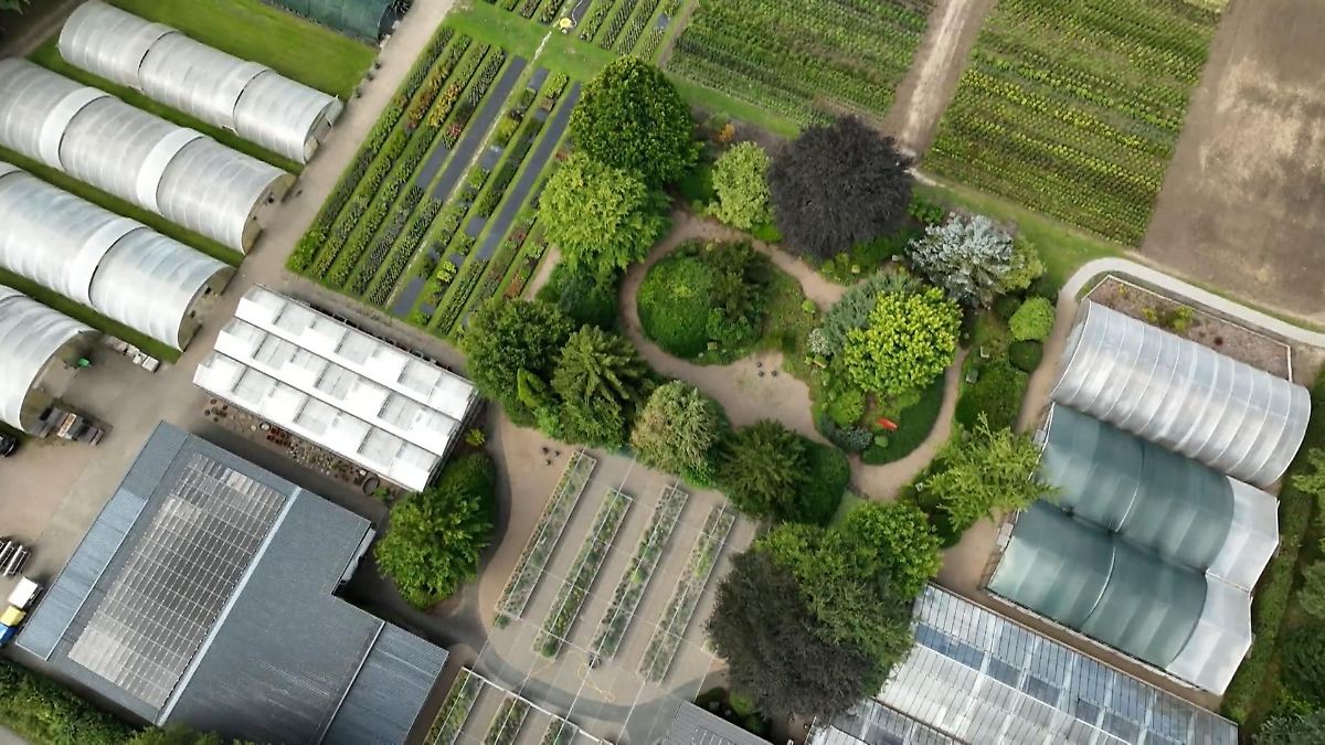 Größte Bonsaischule: Familie aus OWL züchtet Mini-Bäume