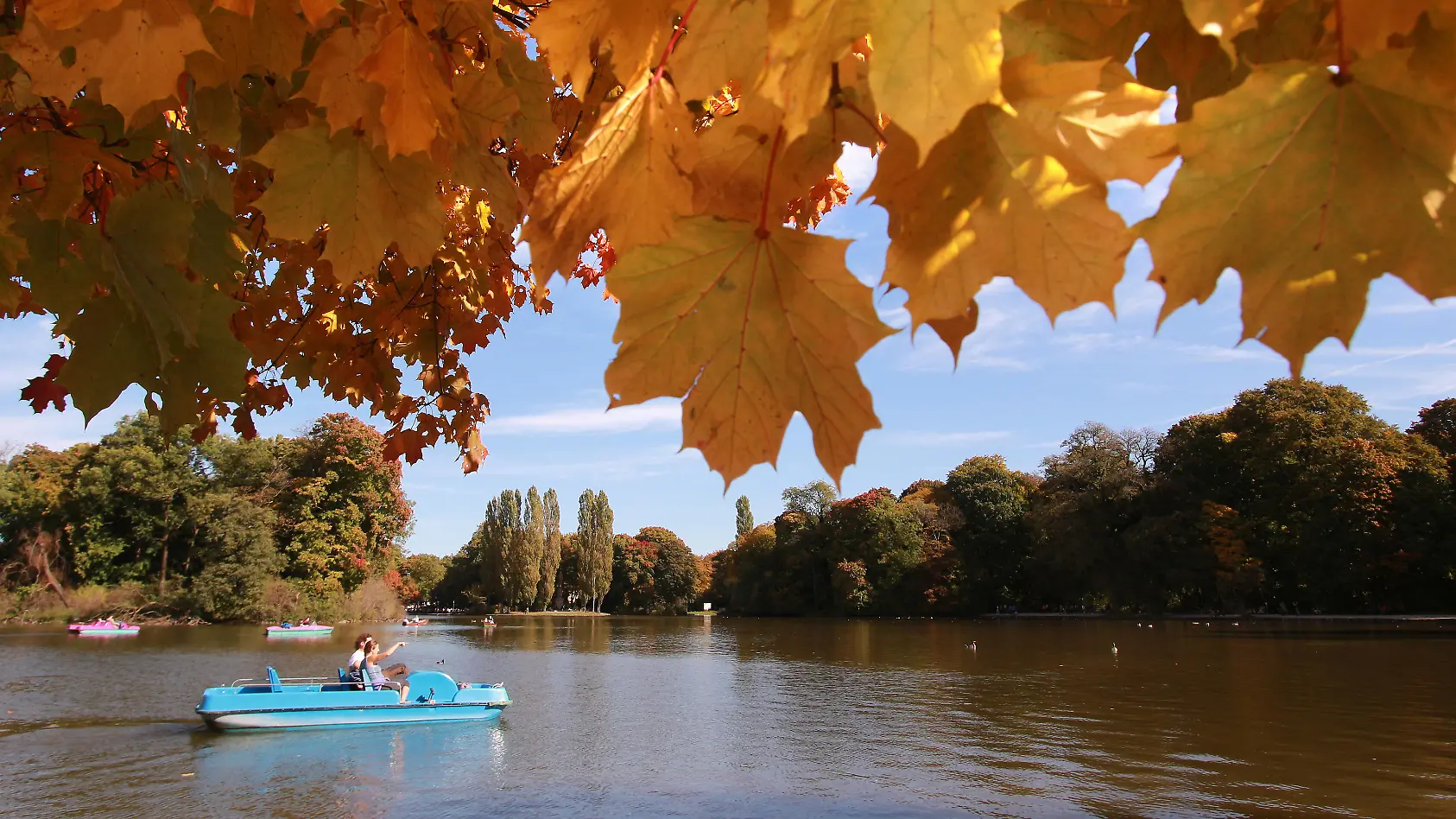 Warum Rentier-Baby Komet eine kleine Sensation ist